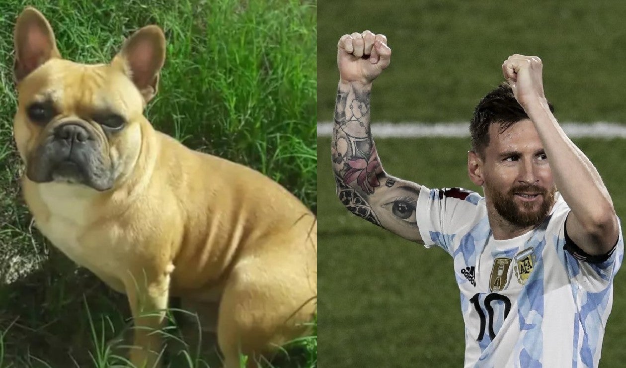 Niño ofreció lámina de Lionel Messi para recuperar perro de su amiga