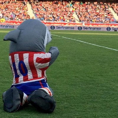 Historia de la mascota del Junior